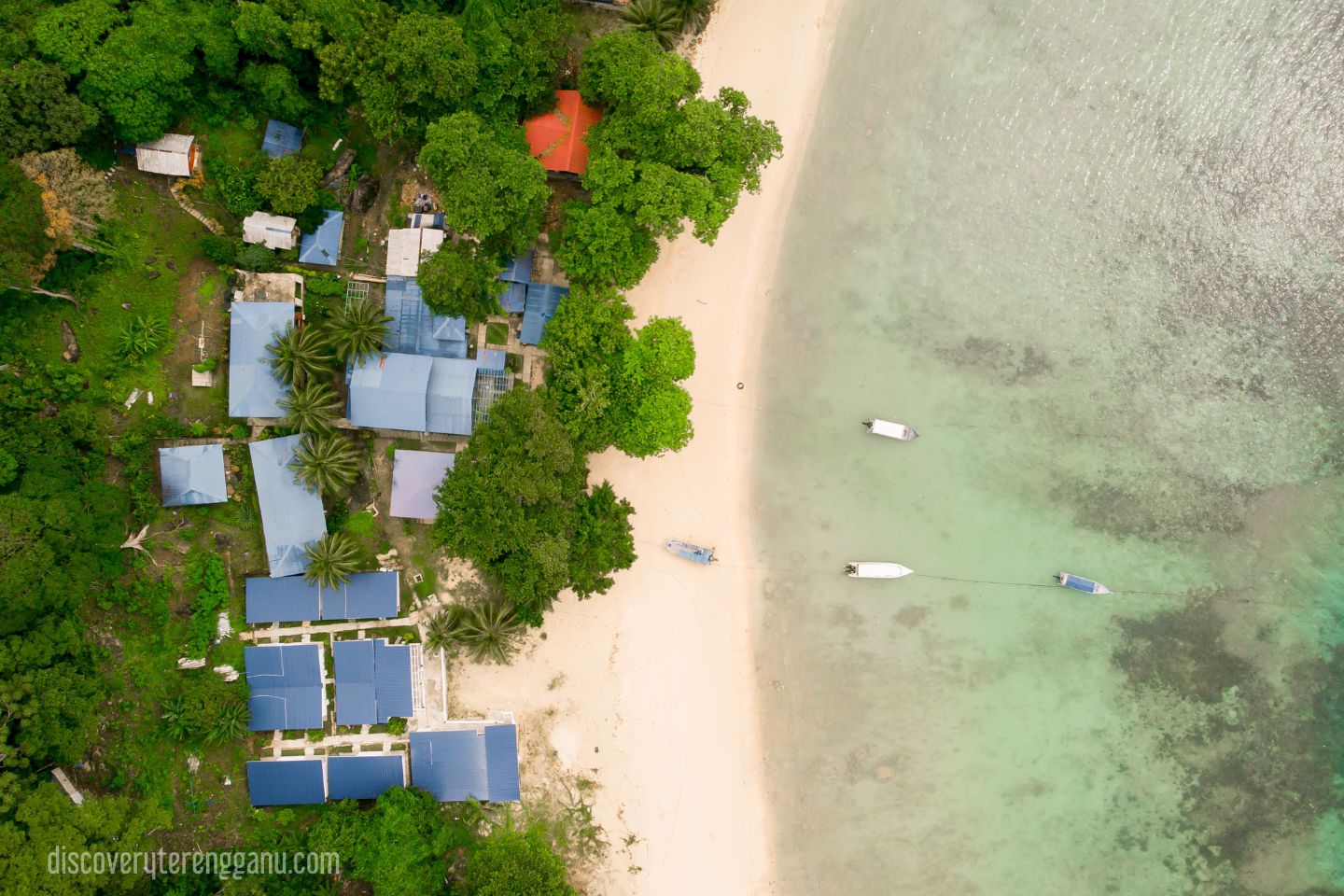 Pulau Tenggol: Destinasi Selam Skuba Terbaik di Malaysia » Discovery ...