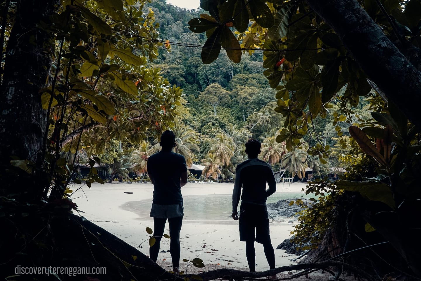 Pulau Tenggol: Destinasi Selam Skuba Terbaik di Malaysia » Discovery ...