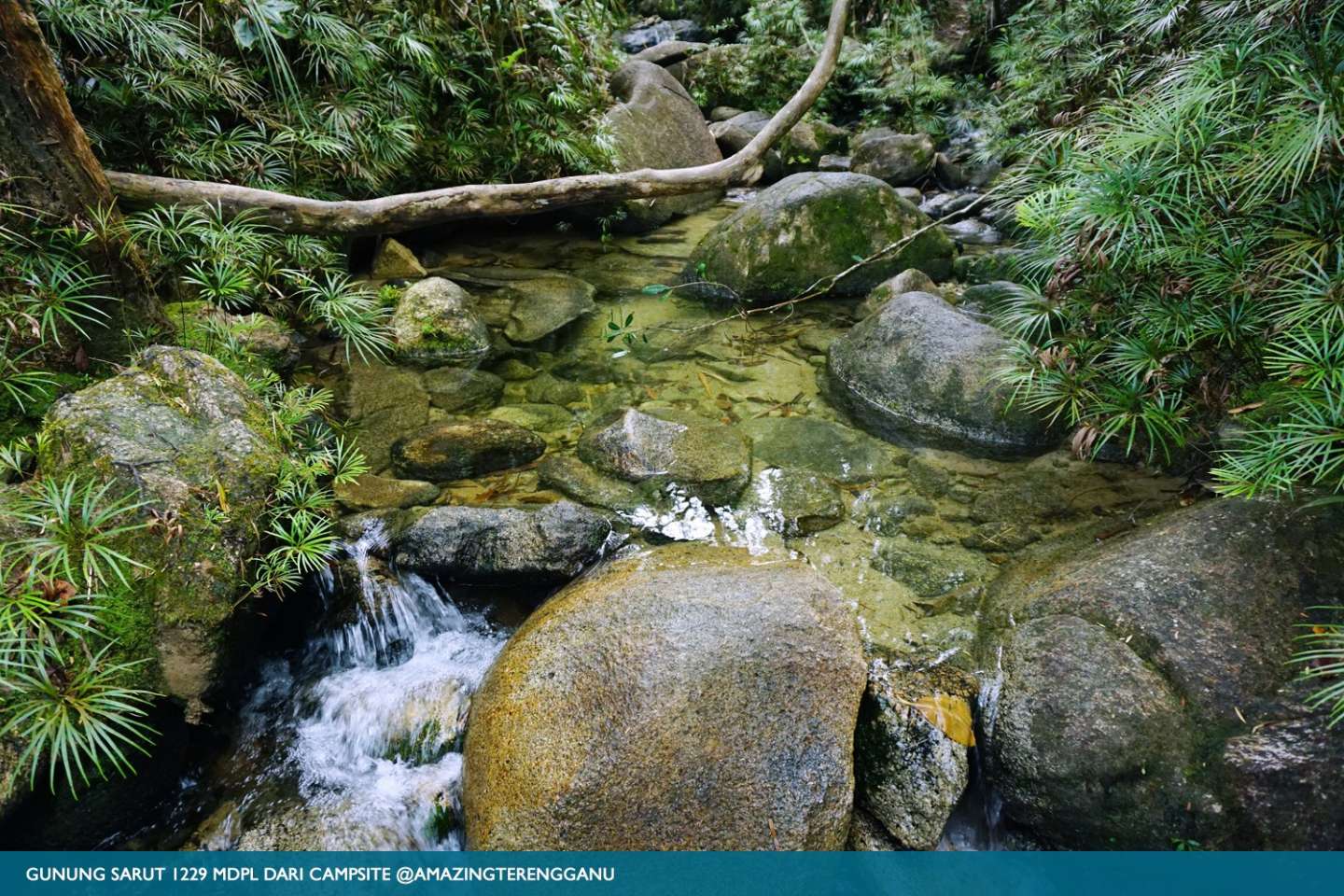 Gunung Sarut Setiu » Discovery Terengganu